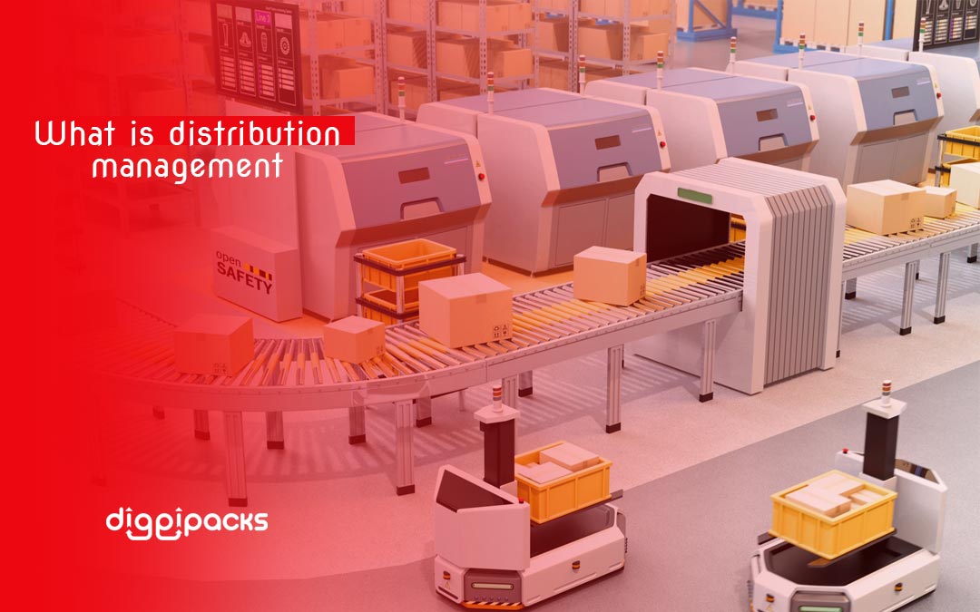 What Is Distribution Management and the difference between it and ...